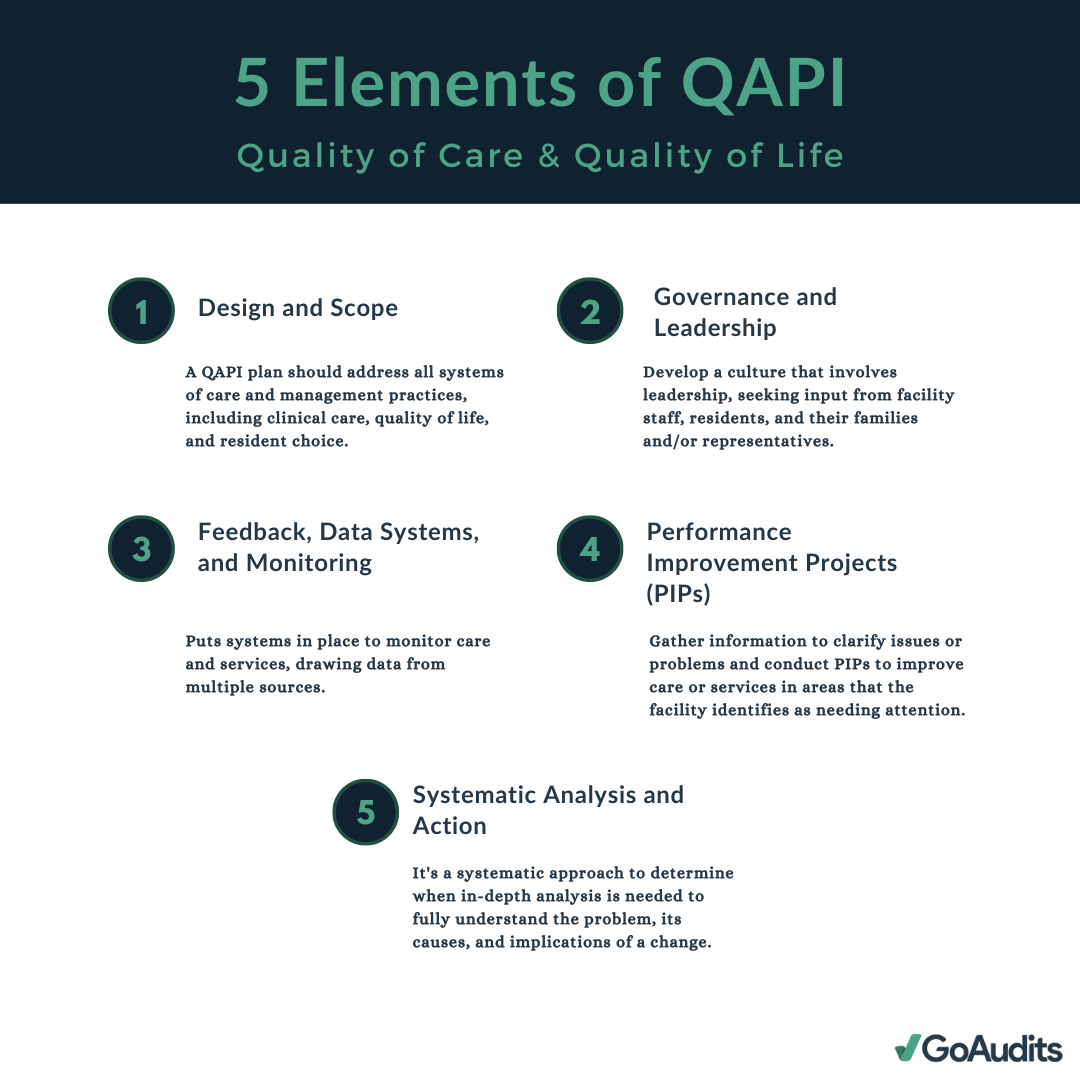 QAPI Plan A 12 Step Guide To Implementing QAPI QAPI Plan A 12 Step Guide To Implementing QAPI