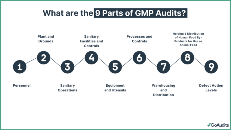 GMP Audits: A Complete Guide & Free Checklists