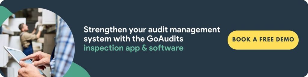 ISO 19011 Audit Guidelines for Auditing Management Systems